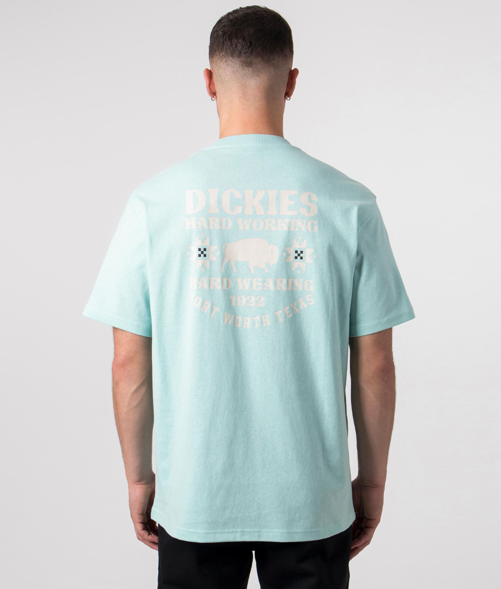 Relaxed Fit Hays T Shirt Turquoise Dickies Eqvvs