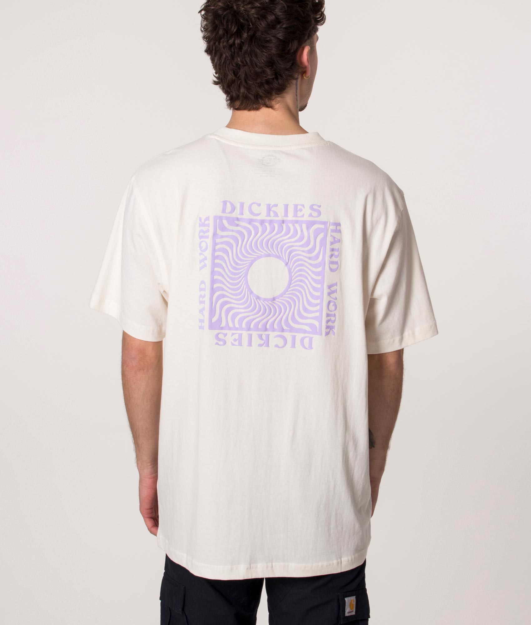 Relaxed Fit Oatfield T Shirt Cloud Dickies Eqvvs